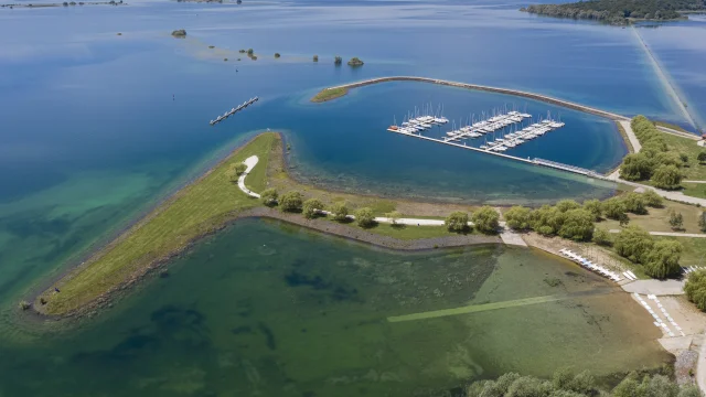 4 strategic places to see the cranes | Tourist Office Lac du Der en Champagne