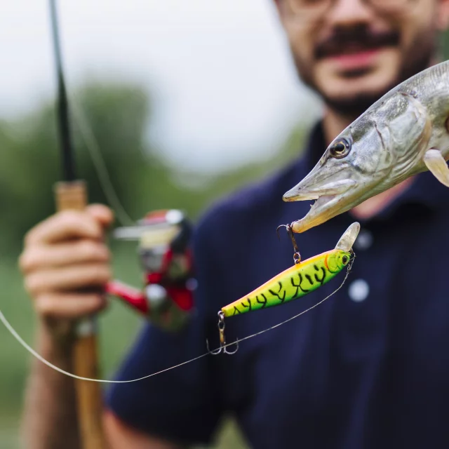 Pêcher au Lac du Der | Office de Tourisme Lac du Der en Champagne