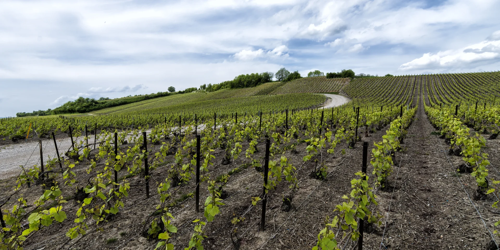 La Route touristique du Champagne | Office de Tourisme Lac du Der en Champagne